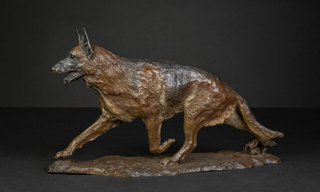 Store - Bogucki Studio