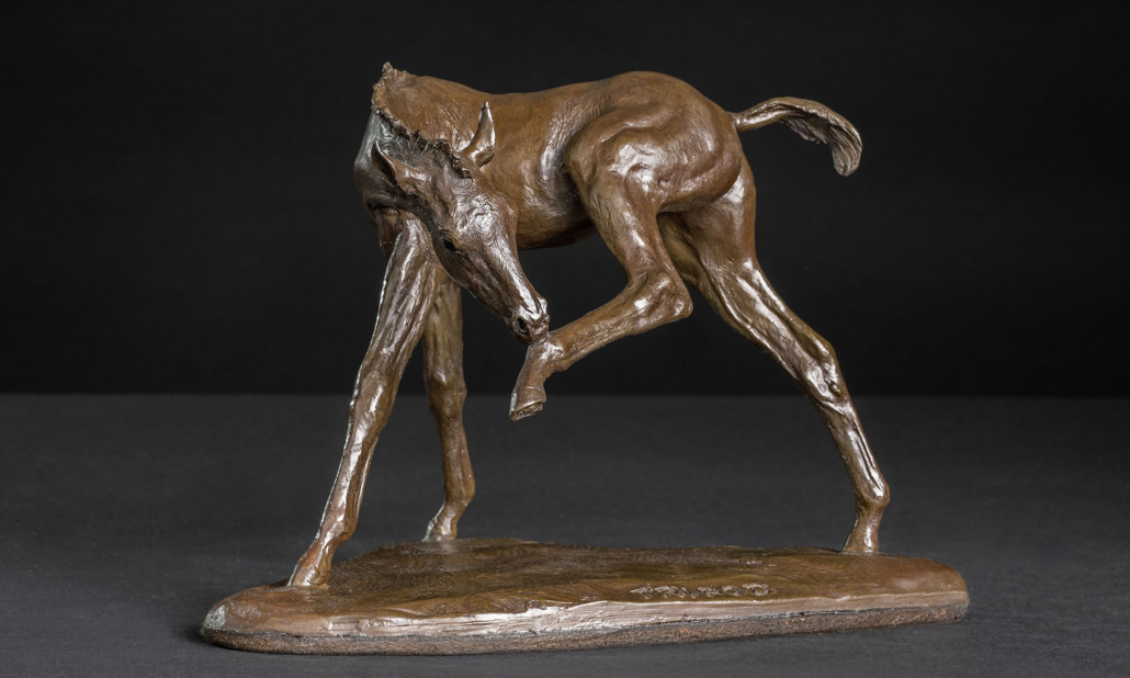 Store - Bogucki Studio